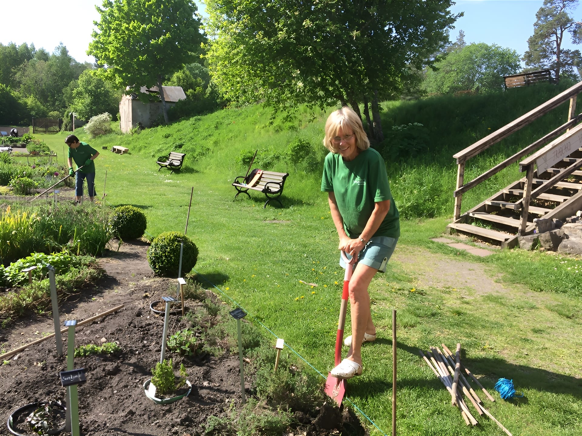 Historisk bild av orangeriträdgården och fortsatt förädling av ...